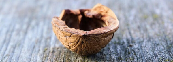 In a nutshell の意味 |使い方 | ArtisanEnglish.jp | ネイティブの英語