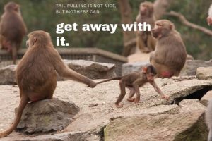 Get away with の意味 | 使い方 | ArtisanEnglish.jp