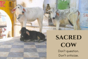 Sacred cow の意味 | 使い方 | ArtisanEnglish.jp | 英会話