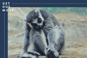 Get out more の意味 | 使い方 | ArtisanEnglish.jp | 英会話